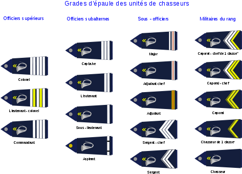 Ranks[edit] - Modern French Army Ranks - (500x353) Png Clipart Download